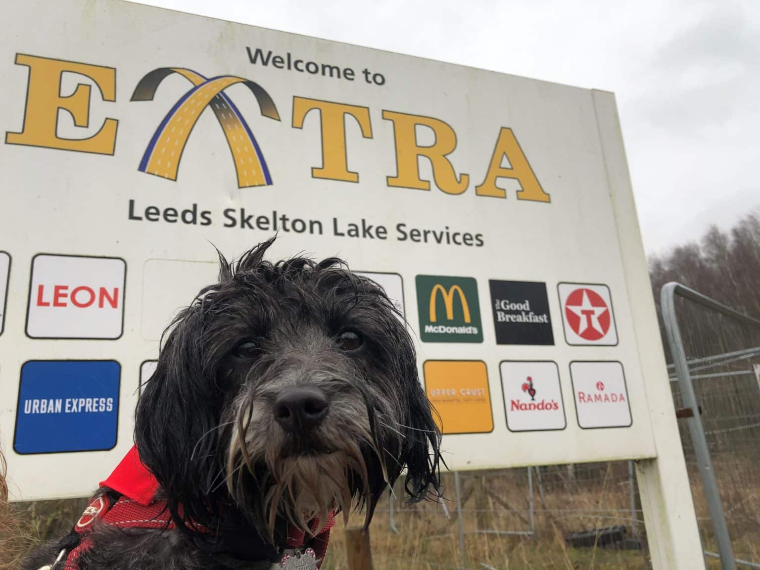 News - Extra Motorway Service Areas